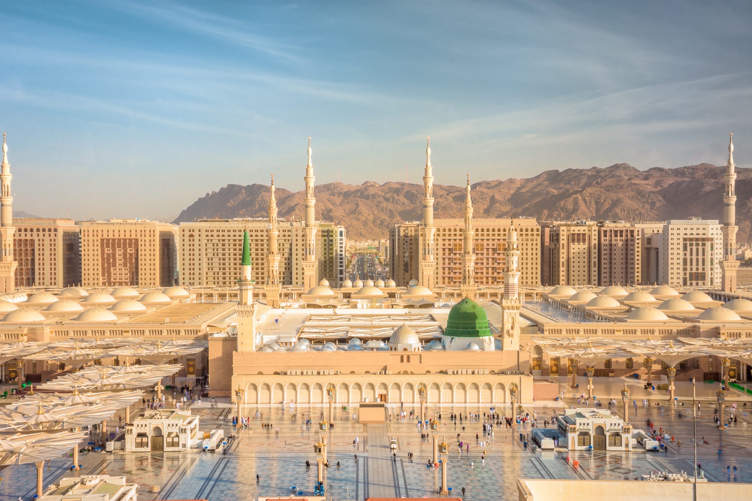 Over 10 million worshippers visit Prophet's Mosque since start of ...