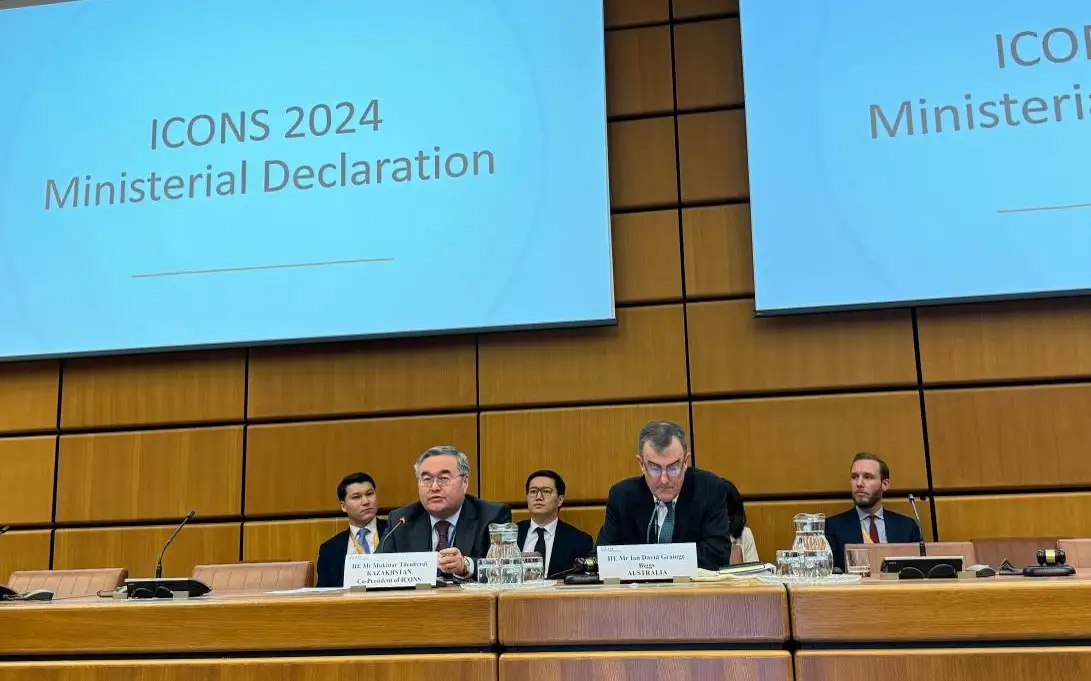 Joint Briefing on ICONS-2024 International Conference on Nuclear Safety ...