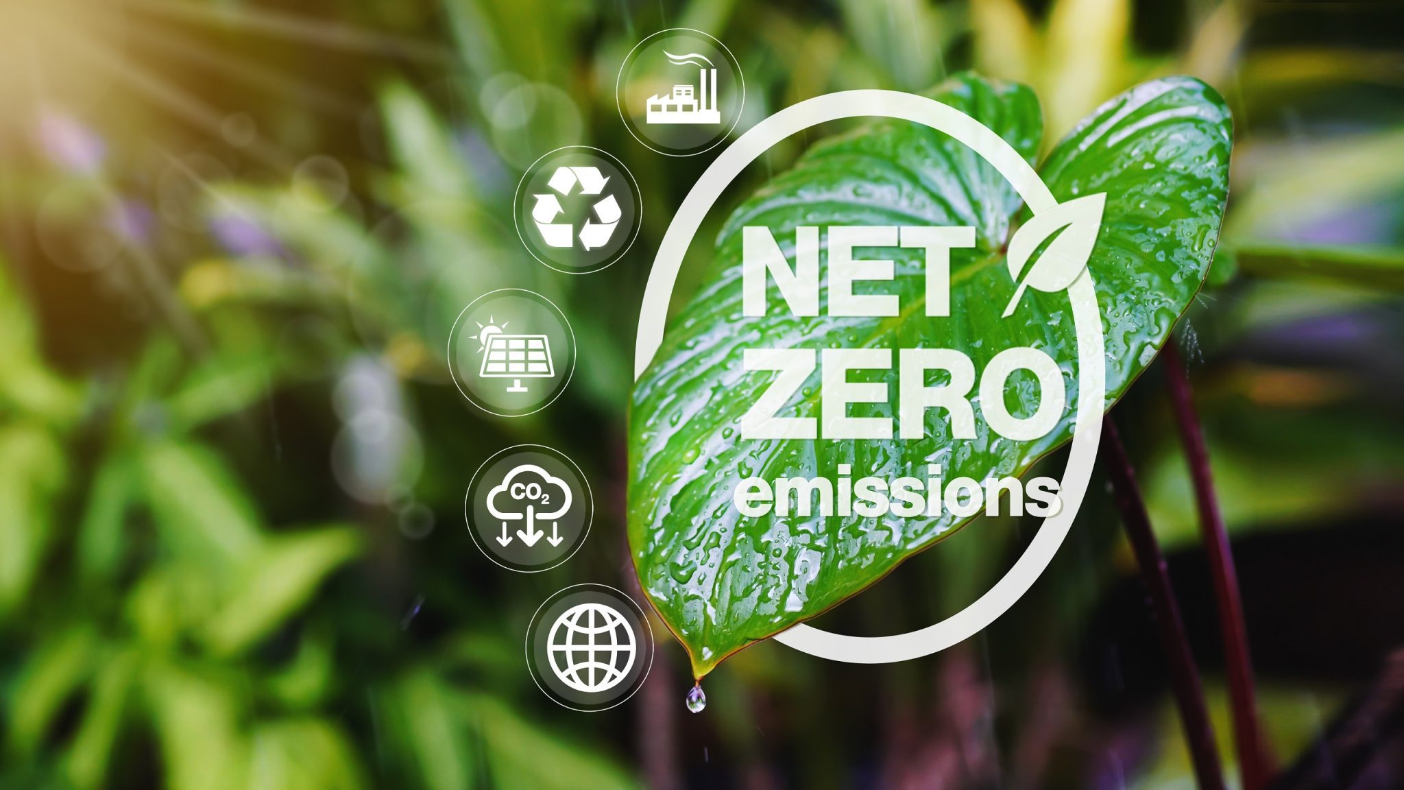 Indonesia Pledges Geothermal Exploration for 2060 Net Zero Emissions ...