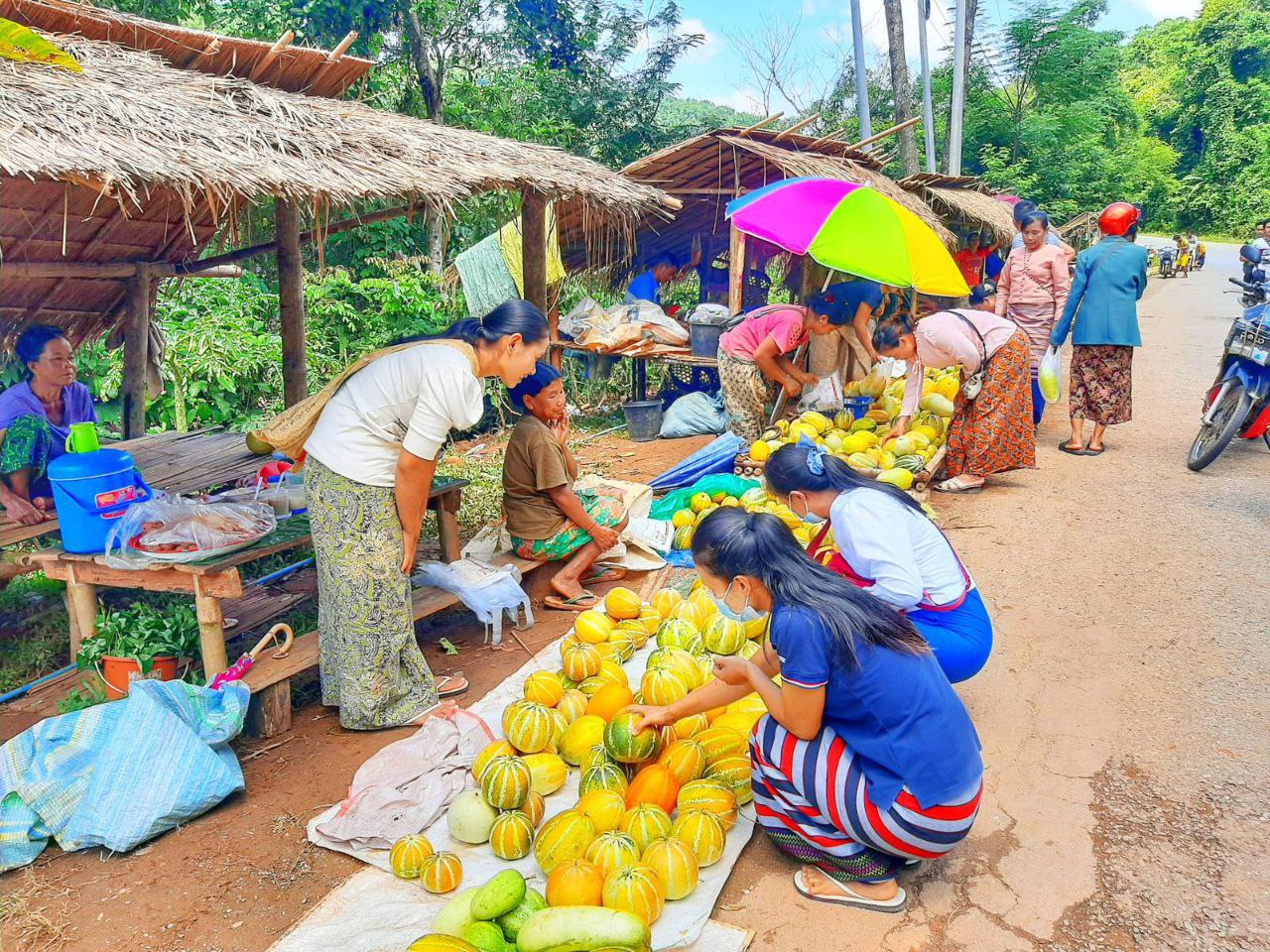 Limited Supply of Shan State Muskmelon Amid Decline in Plantation - The ...