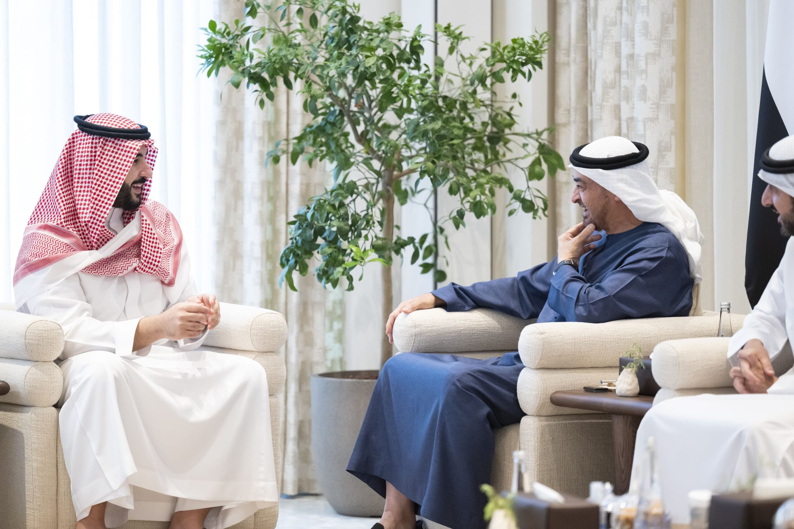 UAE and Saudi Arabia Reaffirm Strategic Ties in High-Level Abu Dhabi ...
