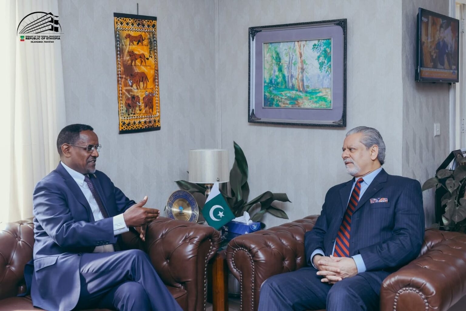 Ethiopia, Pakistan Review Bilateral and Multilateral Cooperation During ...
