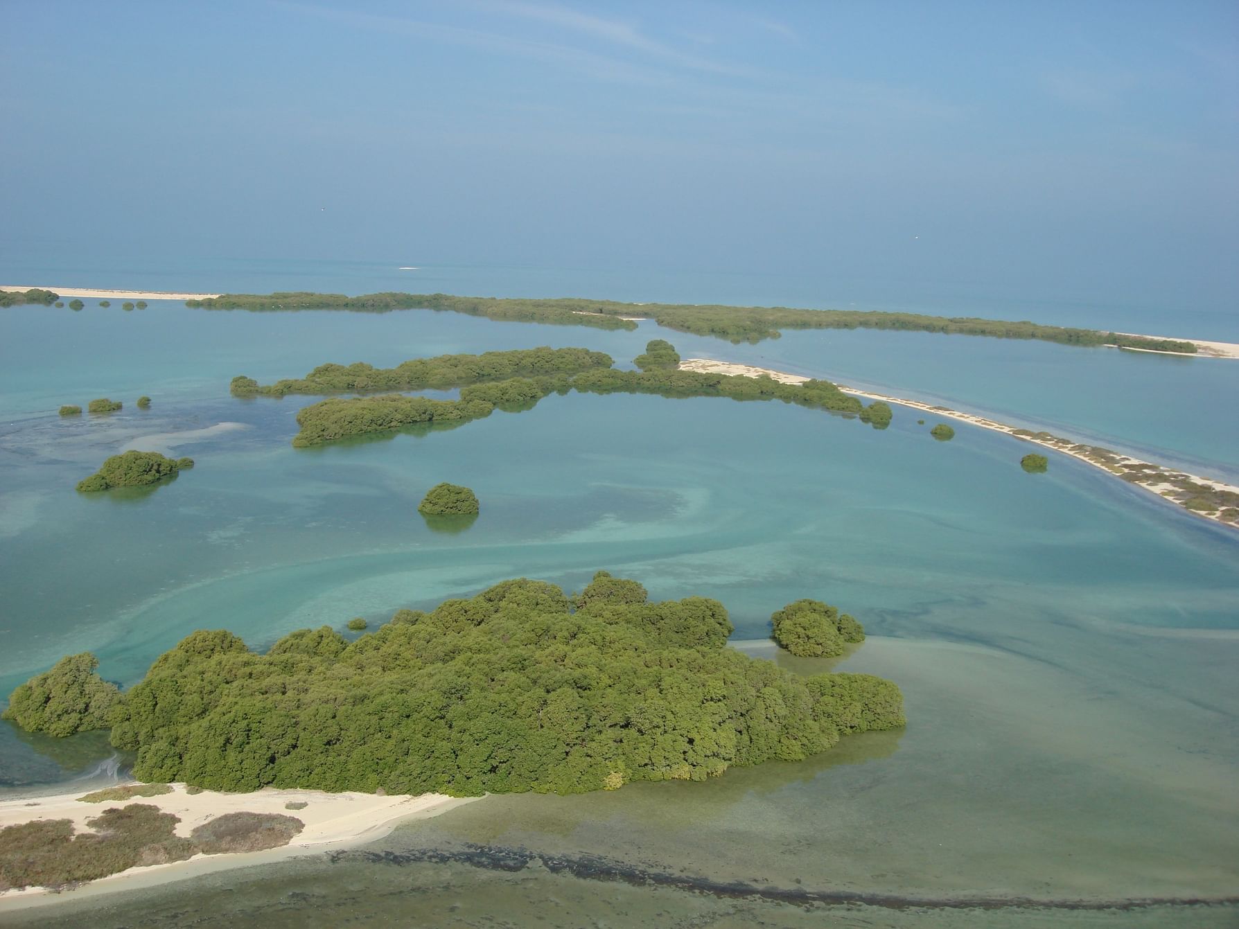 UAE Advances Environmental Protection and Clean Energy Transition with ...