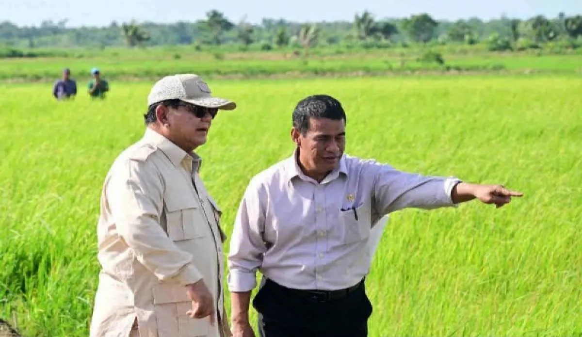 Indonesia Achieves Record Rice Reserves, Surpassing 3 Million Tons ...